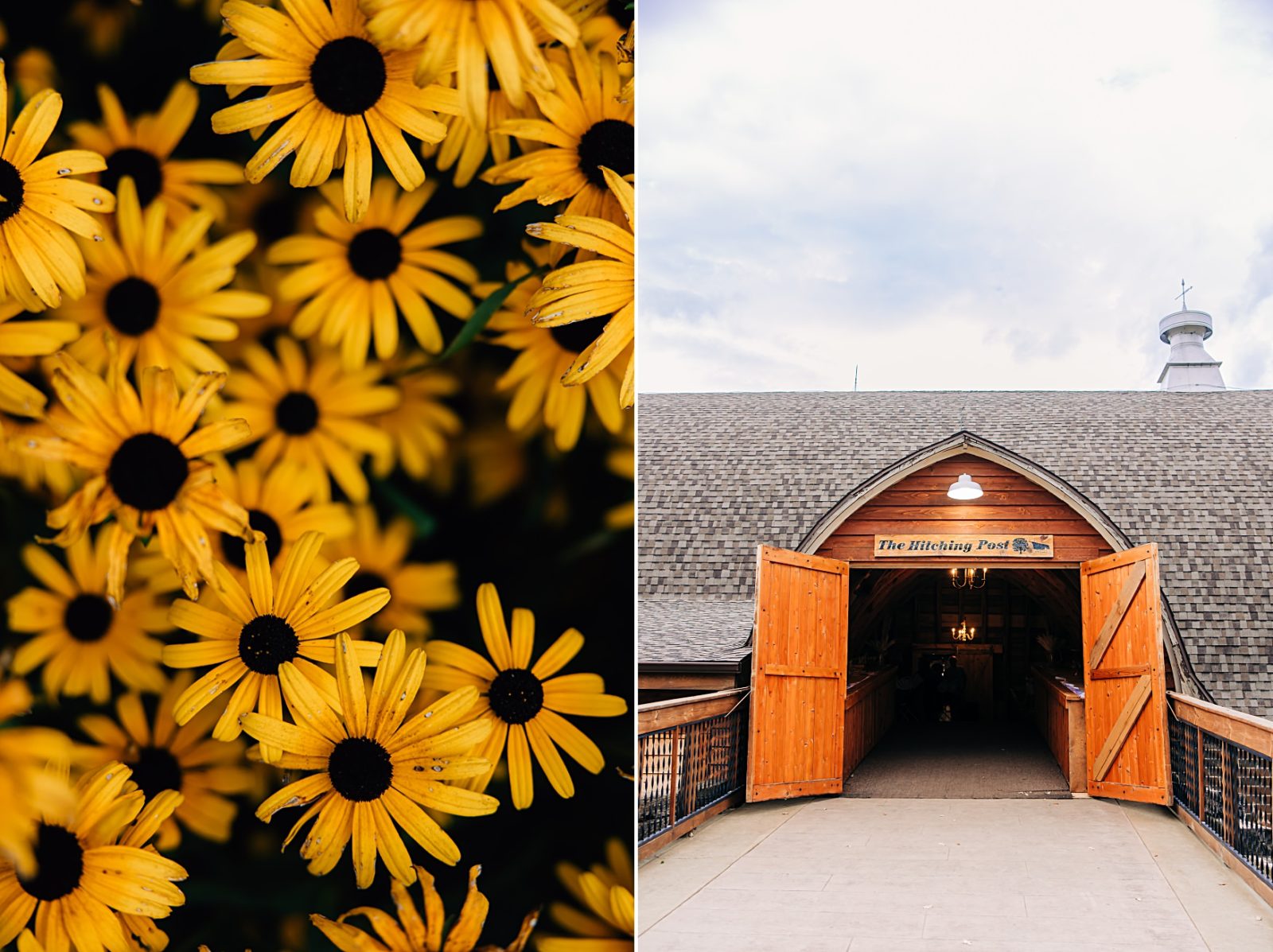 Fall, Hitching Post Wedding | Annie & Jared - amberlangerud.com