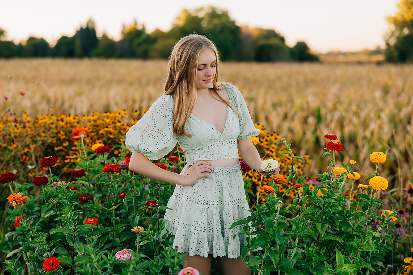 Three Must Plant Flowers when Growing For Photography Locations ...